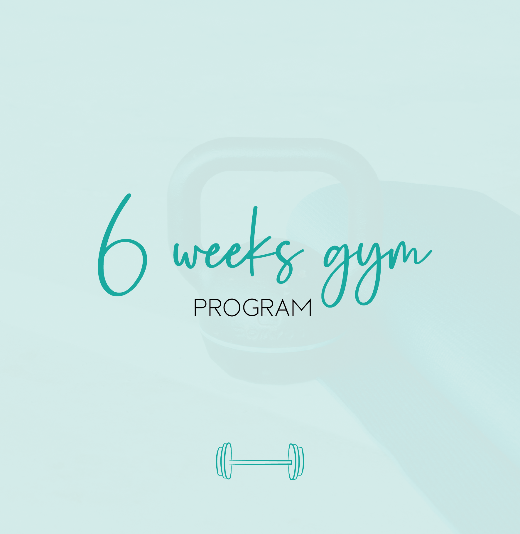 6 week Gym Program – The SI Method
